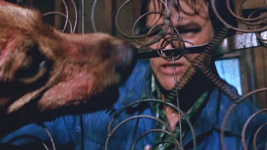 Mind of Frames: The Pack (1977)