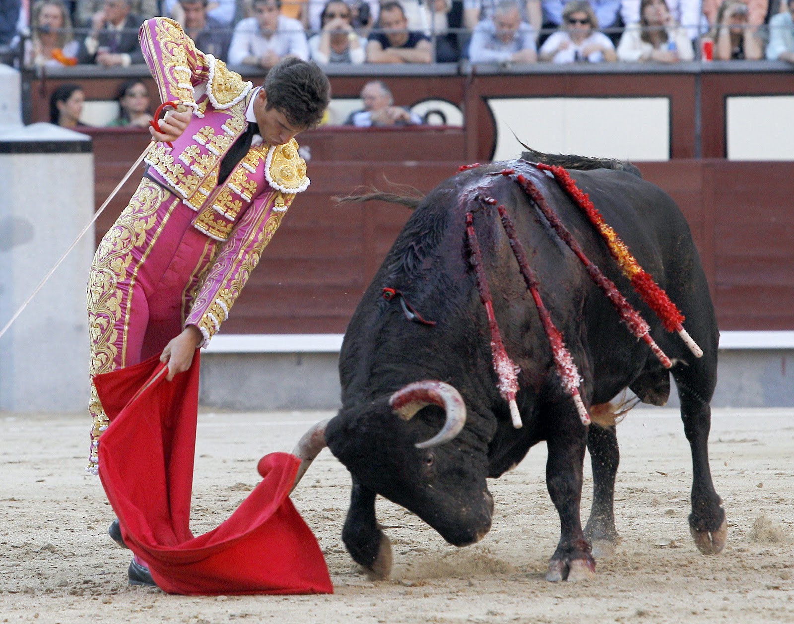 VUELTA AL RUEDO: Un nutrido grupo de toreros continúa con el baile ...