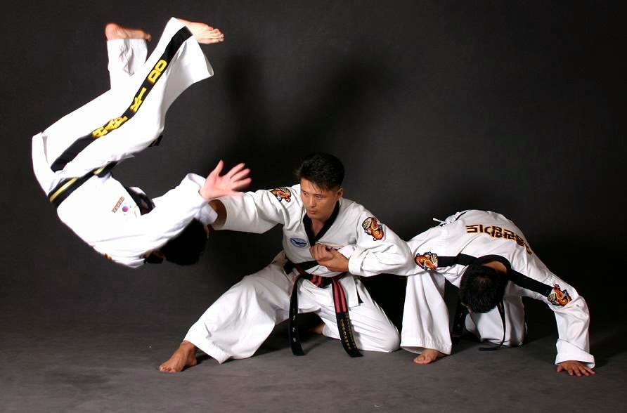 Mono de Kung Fu: El Hapkido