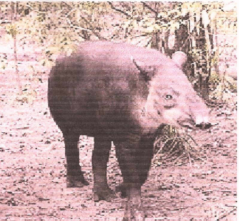 Biología en todos sus aspectos...: Visita a la Reserva...