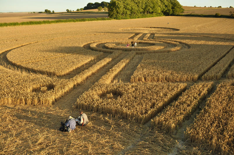 Cosmic Crop Circles: Cooks Plantation, nr Beckhampton, Wiltshire ...