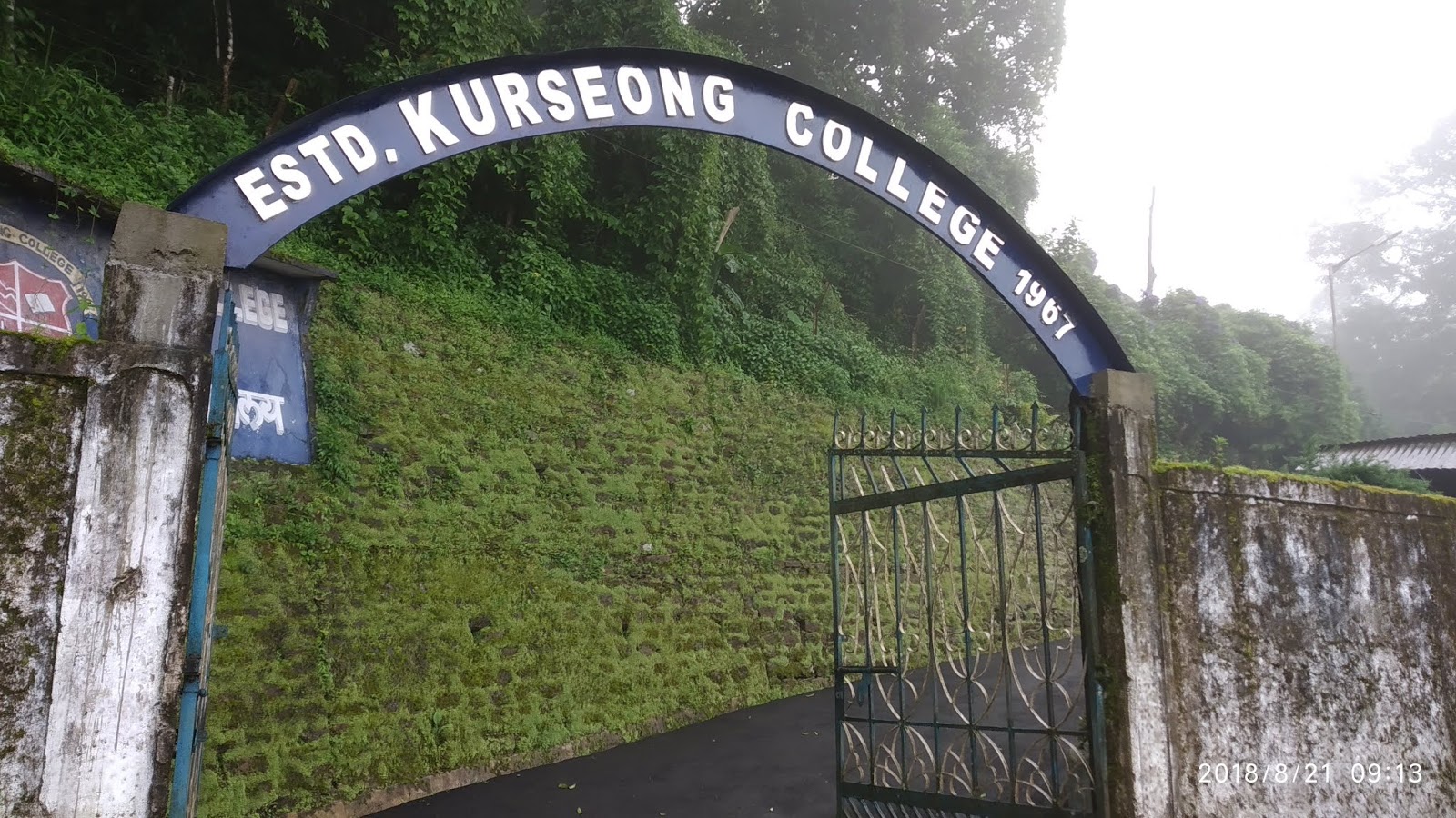 An Old Love Story in the Dow Hill Forest of Kurseong, Darjeeling ...