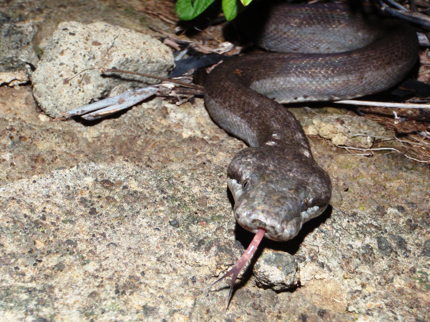 Zoo News Digest: Zoo News Digest 21st - 23rd October 2012 (Zoo News 835)