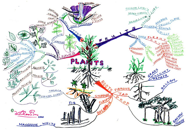Welcome to 4 Devotion (2017): [25/1] Create a Mindmap for Plant System