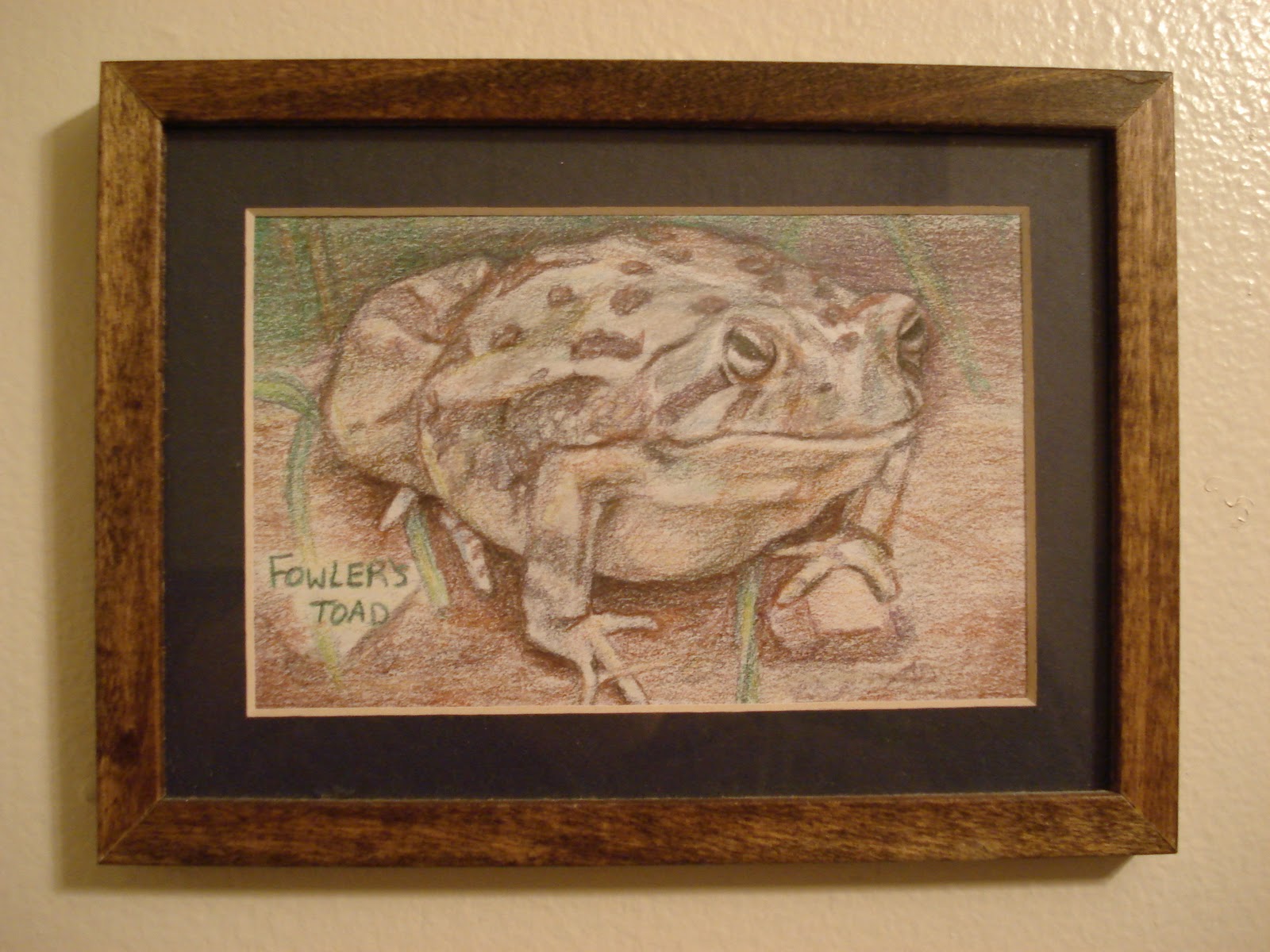 Jessie's Art: December 2011