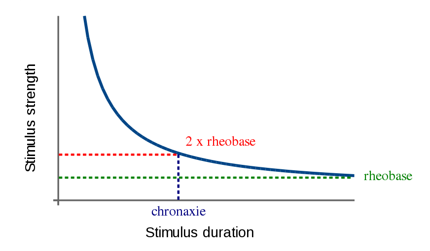 EXAMS AND ME : Strength Duration Curve