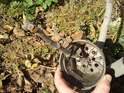 Faenas de la Huerta: Acodado y Acodado Aéreo