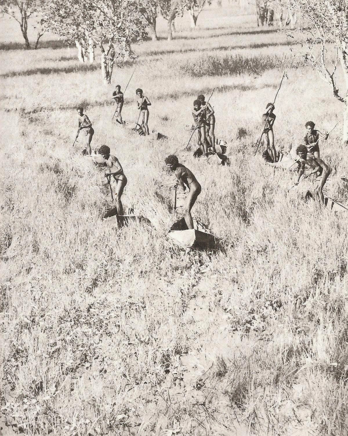 Huc & Gabet: Donald Thomson in Arnhem Land by Donald Thomson.