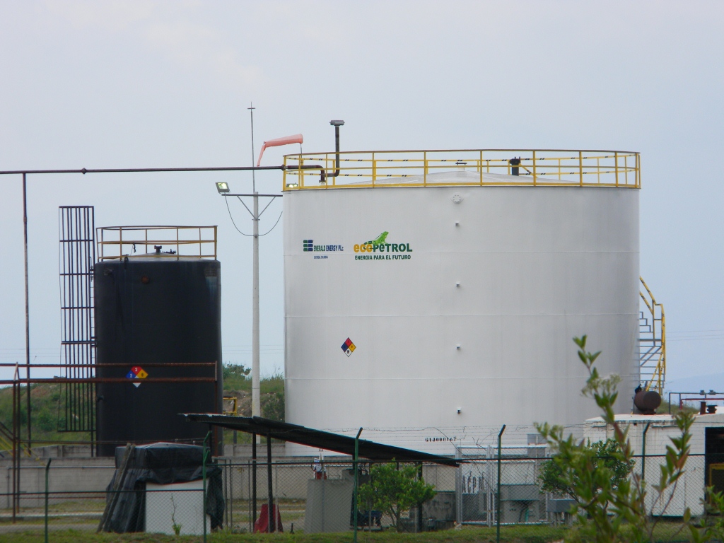 Polinizaciones: Emerald Energy Exploits Colombian Andes