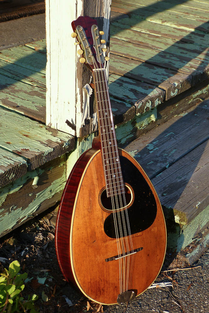 1910s Weymann Mandolute Mandola (Octave Mandolin Conversion)