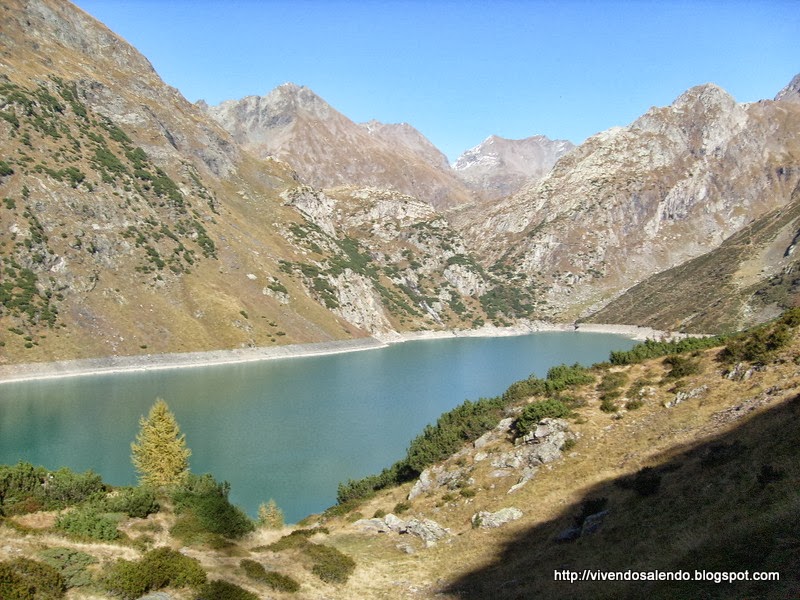 VIVENDO SALENDO: HO POCHI DUBBI NELL’AFFERMARE CHE GRAZIE AL MASSICCIO ...