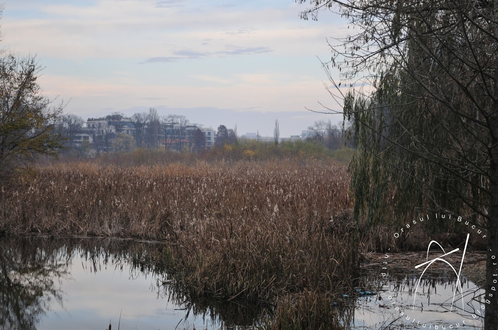 Orasul lui Bucur: Lacul din Parcul Bordei