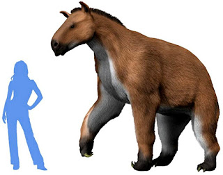 ShukerNature: WHEN NANDI BEARS AND GROUND SLOTHS CAME TO TOWN? TWO ...