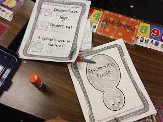 Once Upon a Creative Classroom: Spider Unit