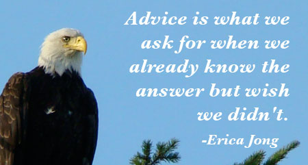 Funny Quotes About Advice. QuotesGram