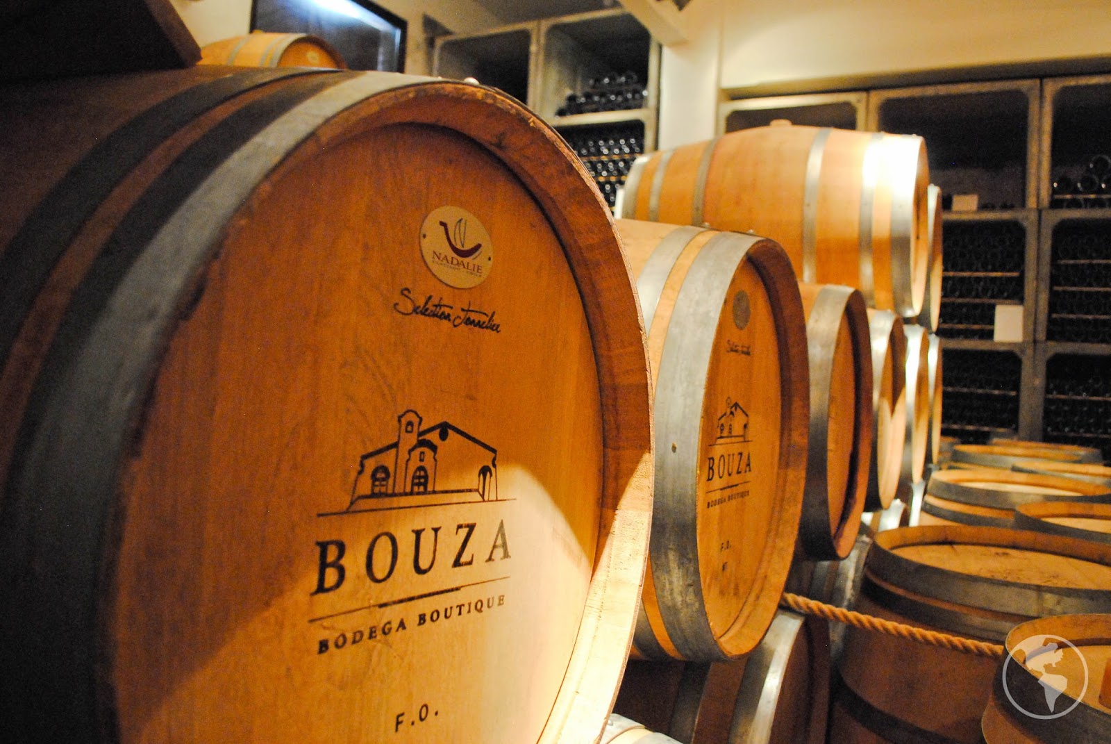 Visitando a Bodega Bouza em Montevidéu, uma vinícola indicada para ...