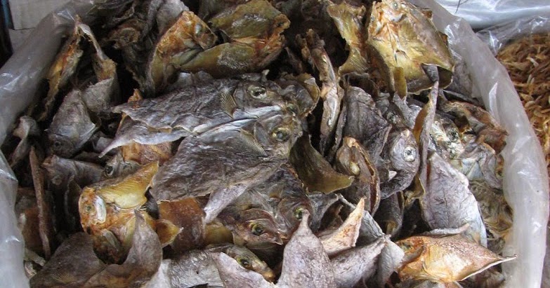 Philippine Food Illustrated: danggit bulad