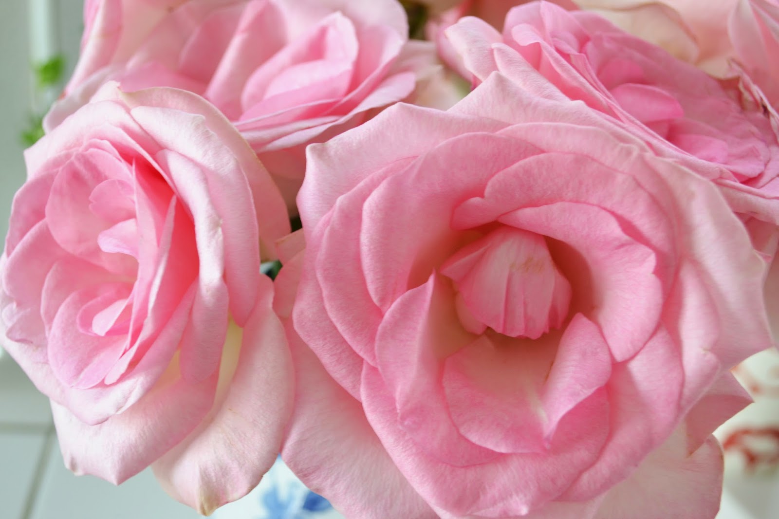 My Painted Garden: Pink Rose Inspirations