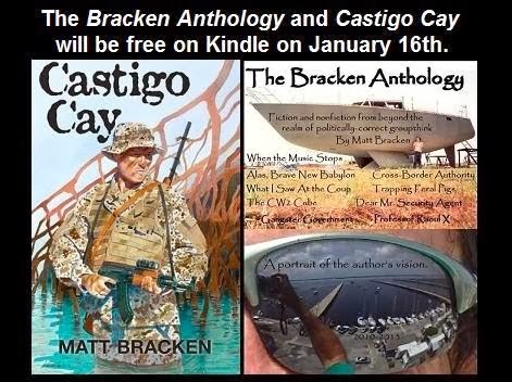 Musings Over a Barrel: Free Matthew Bracken Books