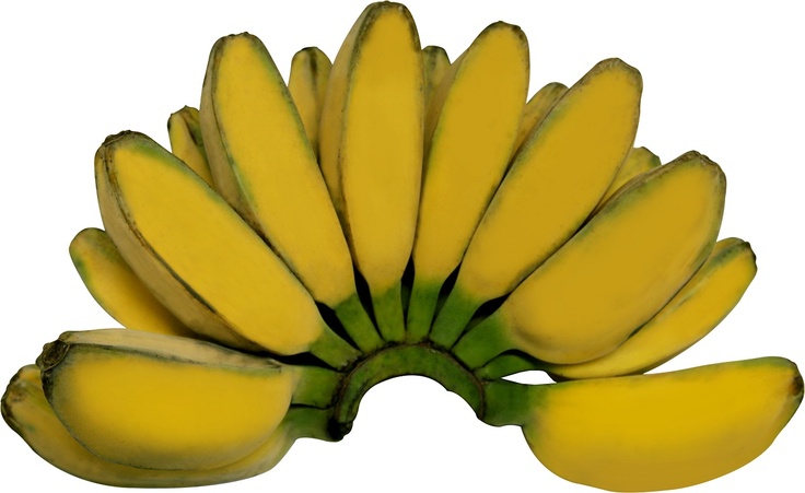 Tentang Pisang Kepok dan Kambeng Pisang - nasunasuku.com