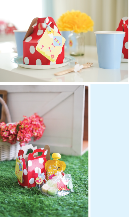 Babylicious: Babylicious Playground Picnic Party