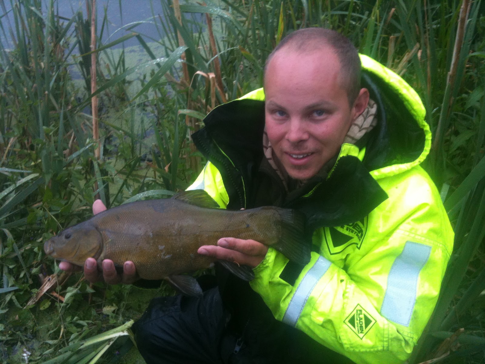 Fiskeligan: Fina sutare men ingen börling
