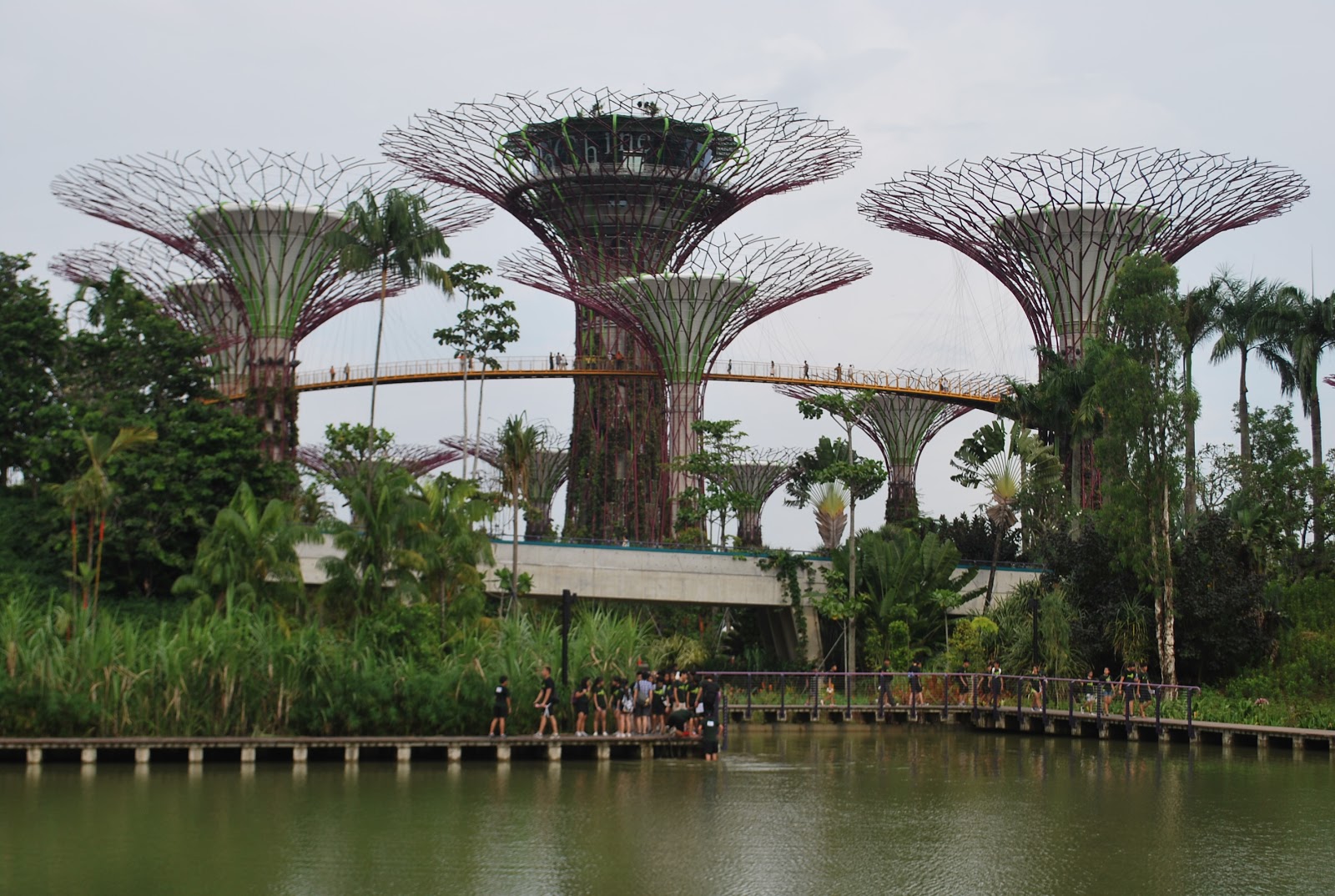 BookWorm Travel: Garden by the Bay: Dragonfly Lake