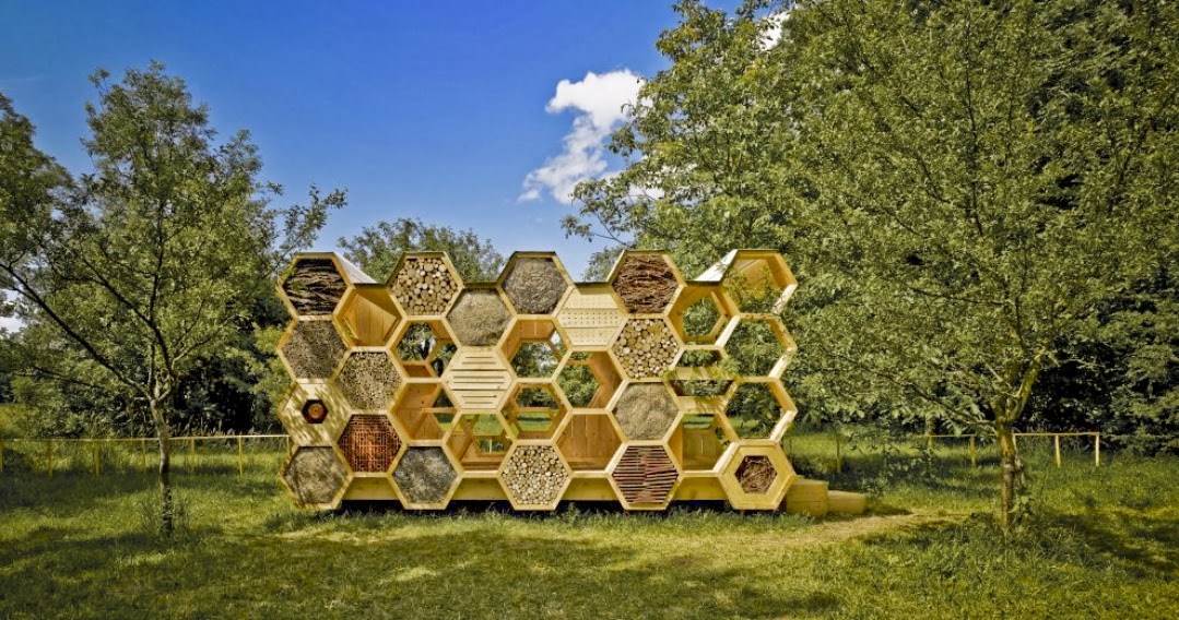 aspectus: Bee Architecture_