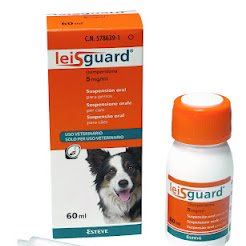 MOVIMENTO NACIONAL DIGA NÃO À LEISHMANIOSE, O CÃO NÃO É O VILÃO ...