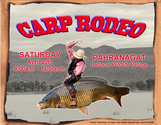 really weird place names: Nevada (Ghost Towns)