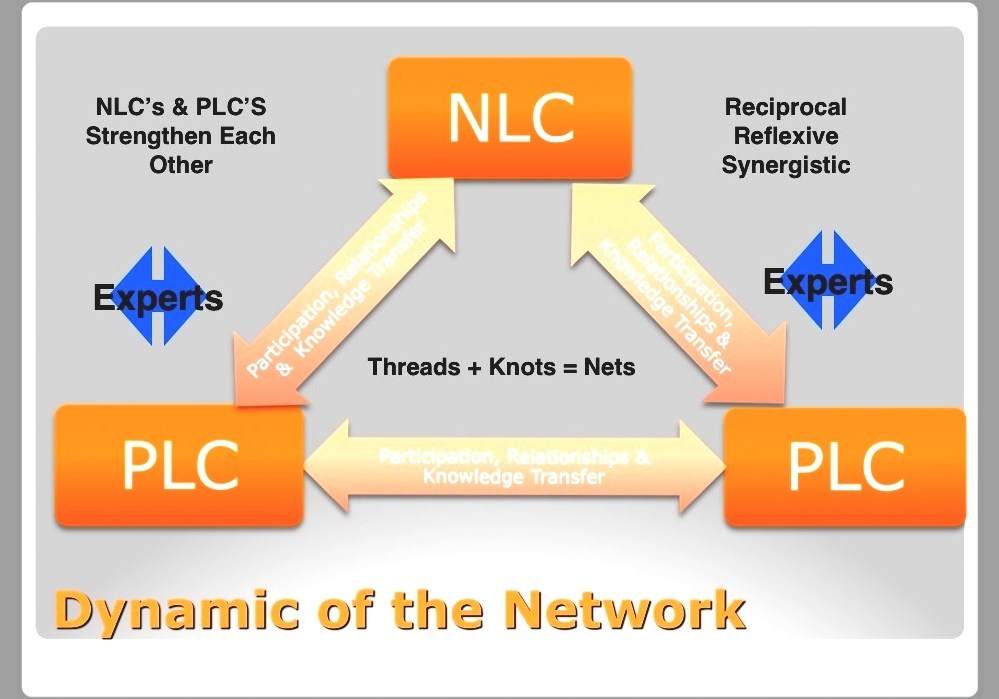 Networked Learning - Network Learning