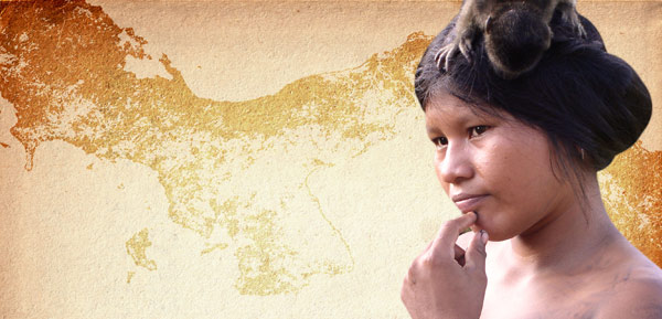 By analysing material from inside the teeth, the team minimized the ...