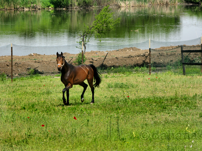 Photographis: February 2011