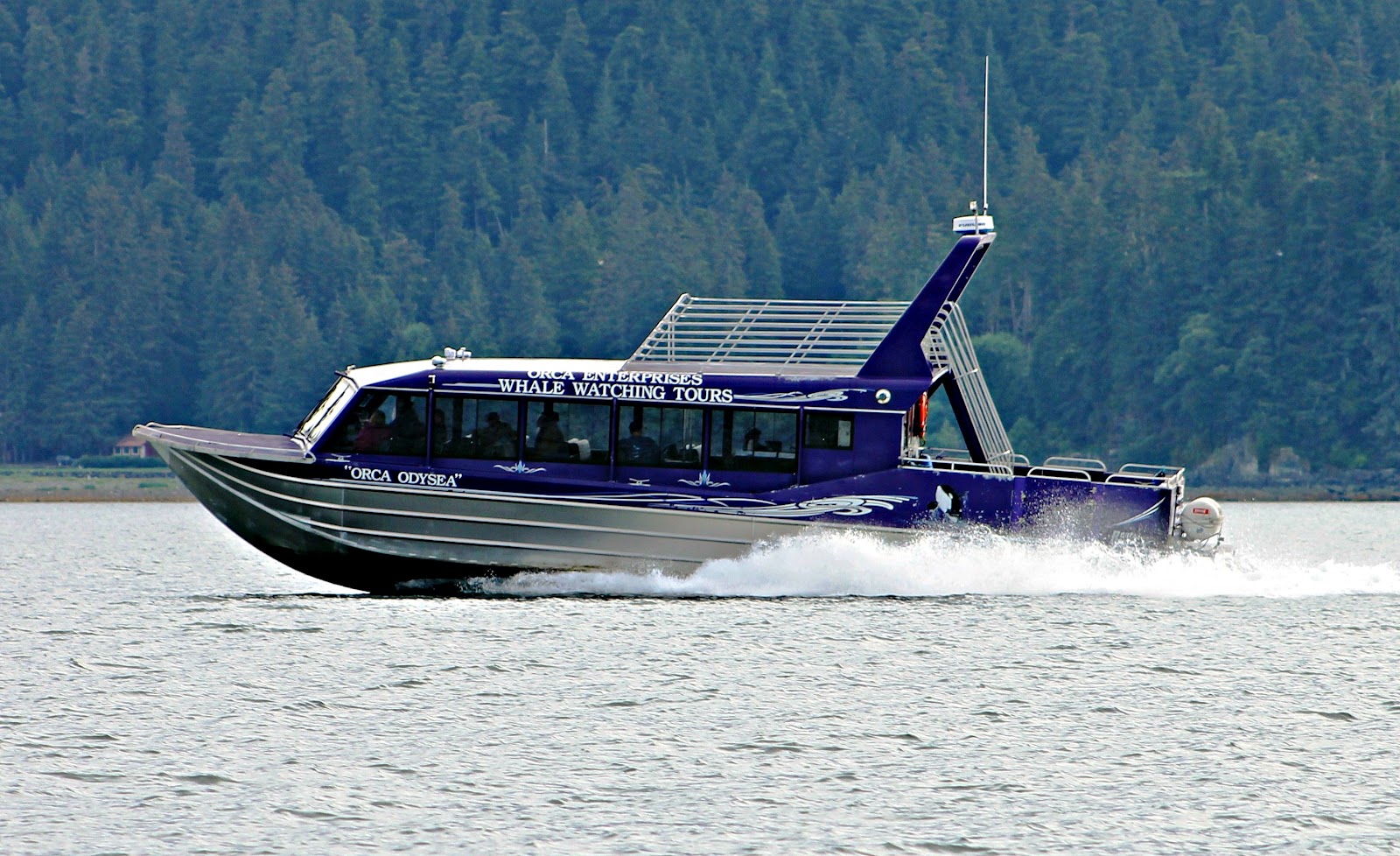 Sandra's Alaska Photography: August 10, 2012: Day 1 of the 3-Day Golden ...