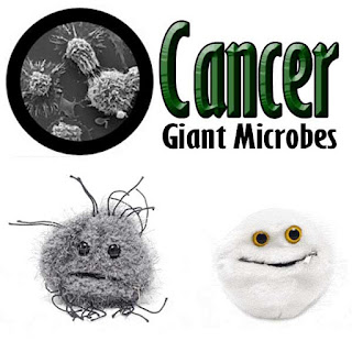 Life of a mad typer: Giant Microbes plush review and Happy Mothers Day