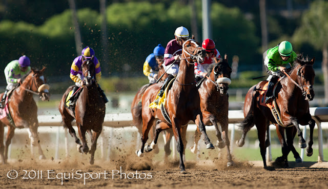 Turf & Dirt - On Horse Racing: "Oh Brethren.. Where Art Thou?" - Derby ...