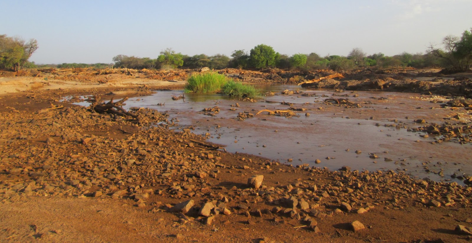 Worldbirder: Ethiopia: Dawa River & the Soda Plains.
