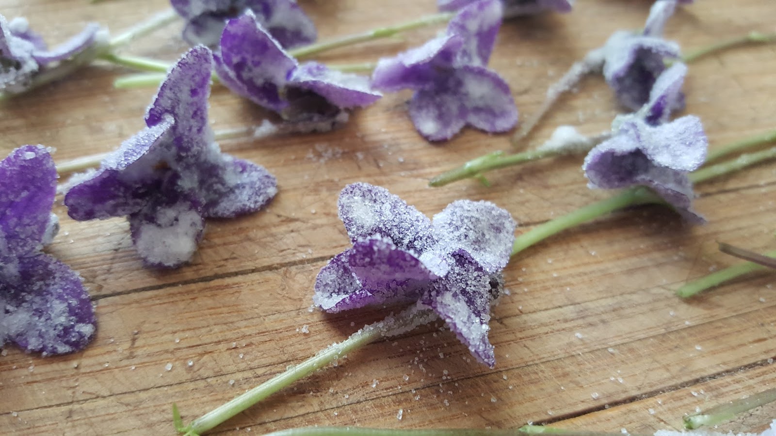 Gardening in Amberley: Candied/Sugared Violets