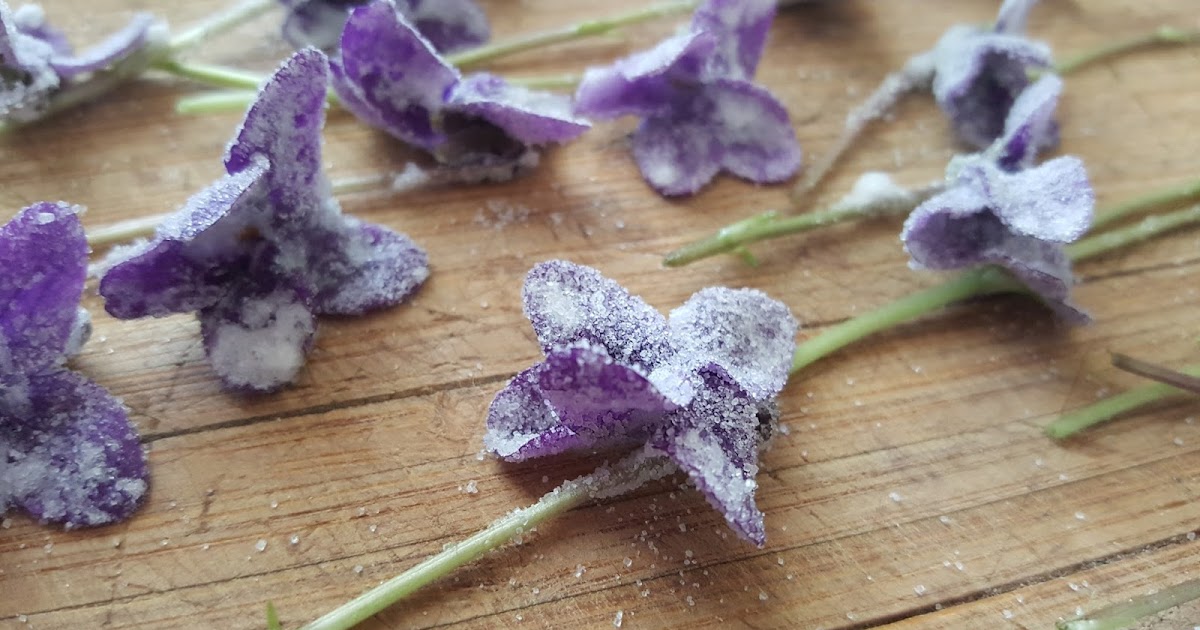 Gardening in Amberley: Candied/Sugared Violets