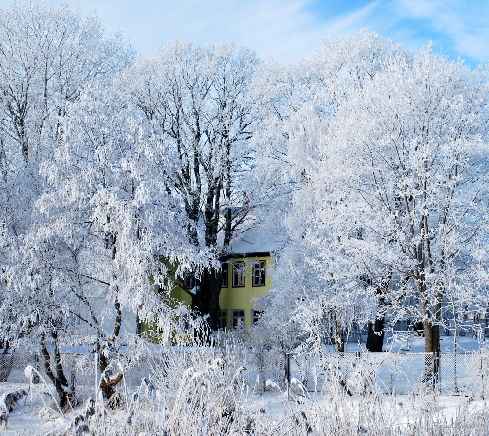 ФотографиЯ : Зима в Латвии. Winter in Latvia. Ziema Latvija.