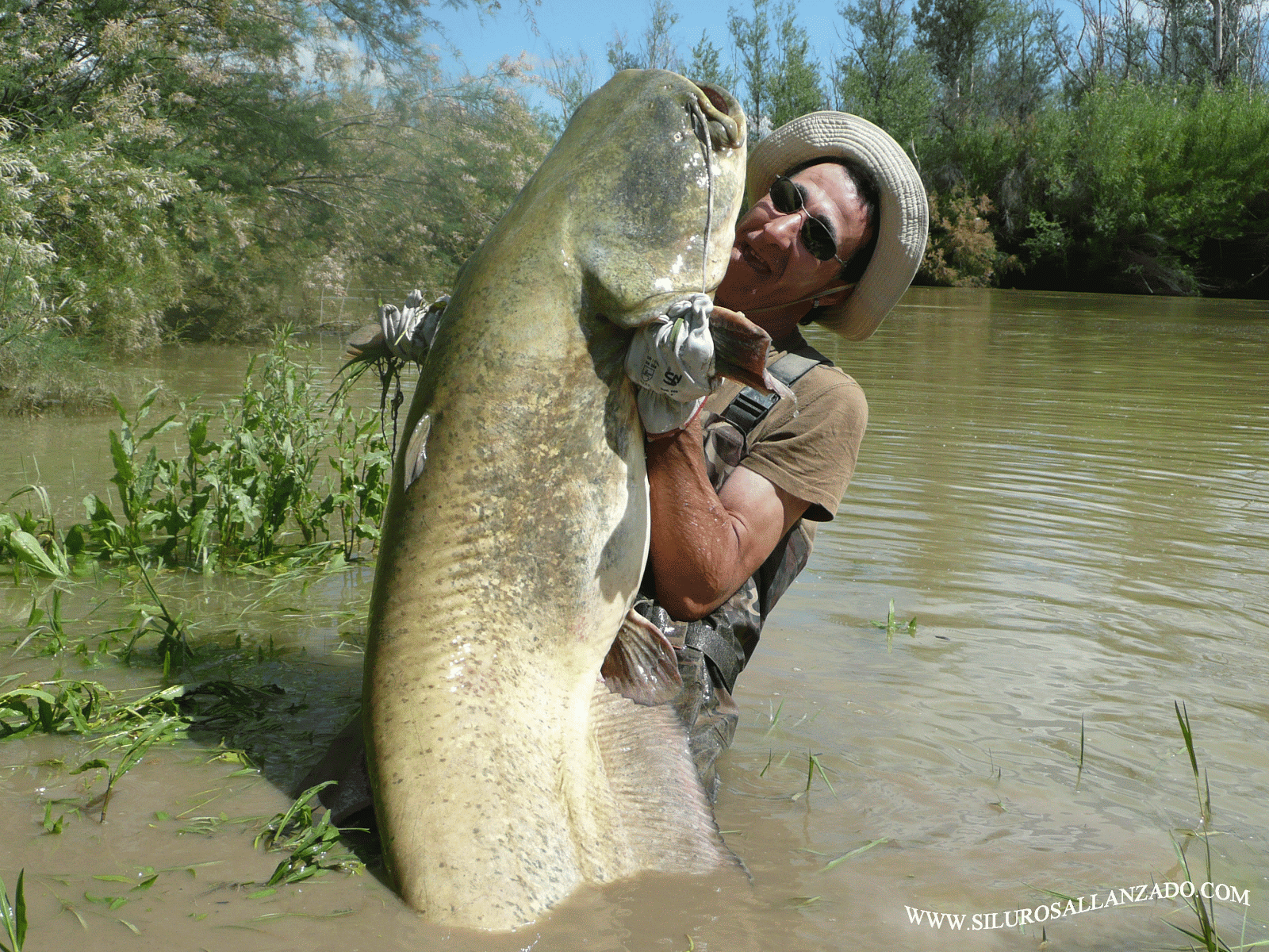 GUIDE DE PÊCHE DU SILURE ET DU SANDRE À MEQUINENZA: MEQUINENZA PÊCHE DE ...