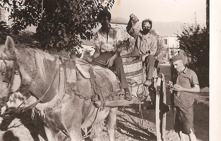 ΓΙΑΝΝΗΣ Δ.ΛΥΡΑΣ: ΕΠΑΓΓΕΛΜΑΤΑ ΠΟΥ ΧΑΘΗΚΑΝ - ΤΑ ΚΑΡΑ