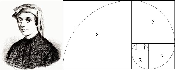 Il Fibonacci Day e la spirale "magica"!