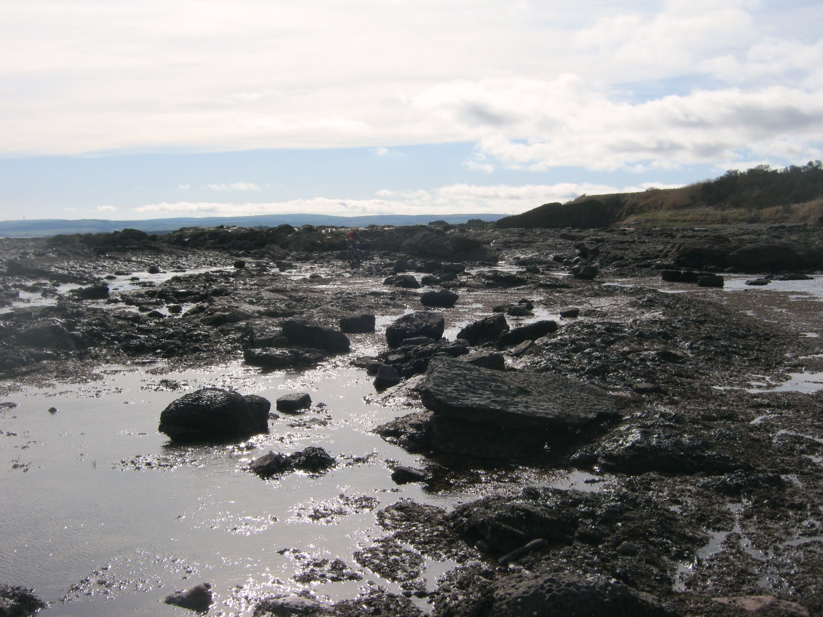 coastrider: Spring Tides Beach Rides...