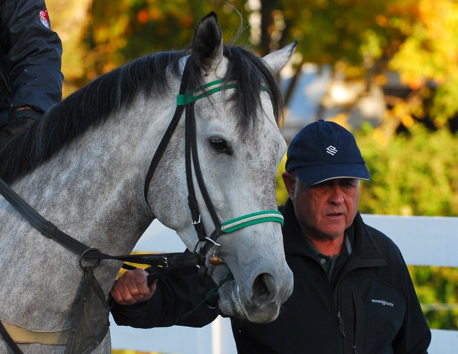 Two Minute Lick: Of Quality, In Man and Horse