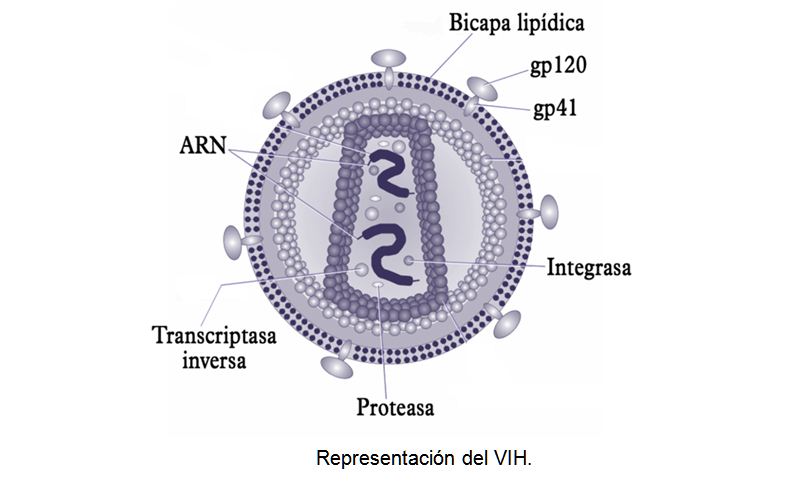 Wiki Obstetricia UdeC: VIH/SIDA
