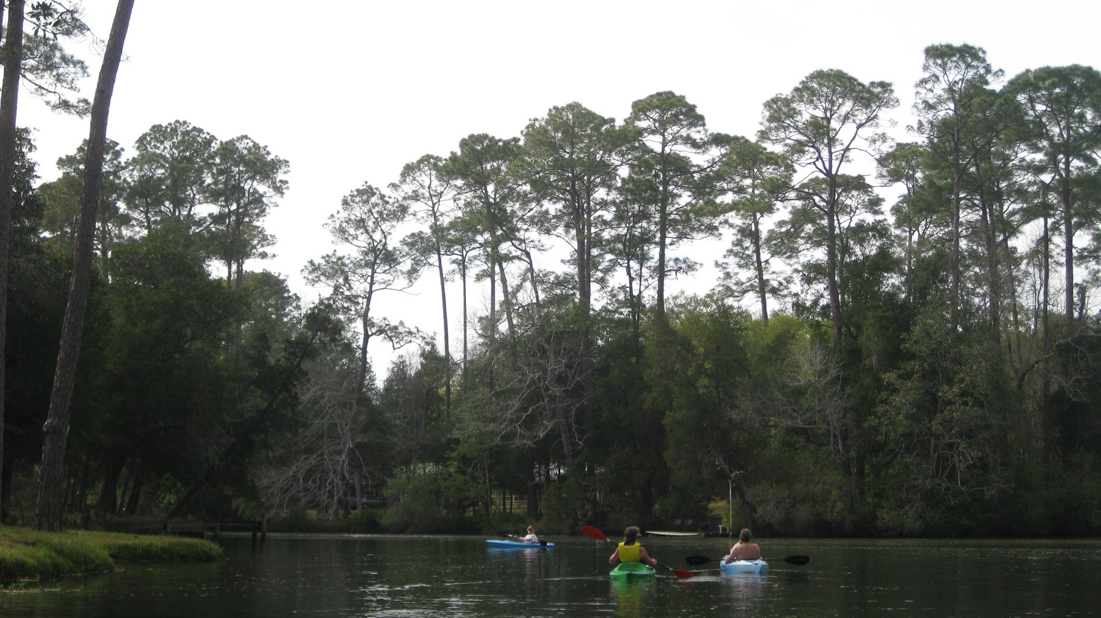 Kayak and canoe, we put in: Magnolia River, Foley, AL