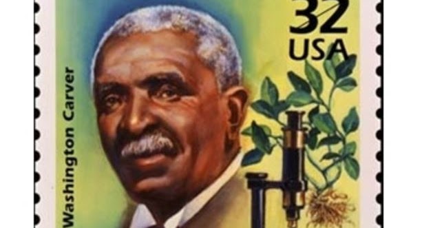 District of Calamity: George Washington Carver's Uncommon Observation ...
