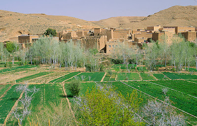 Matt in the Maghrib: Just how organic is Morocco's agriculture?