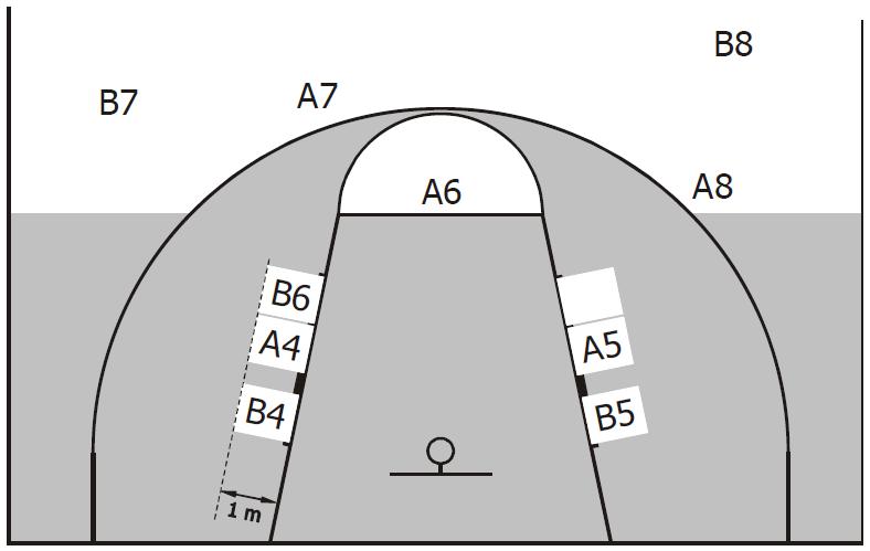 Les Hippocampes de Sacré-Coeur: Lancer franc